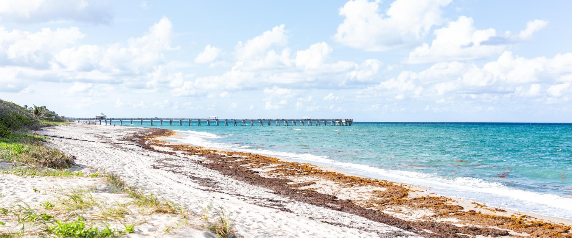 Home | Forest Financial Planning Group, LLC